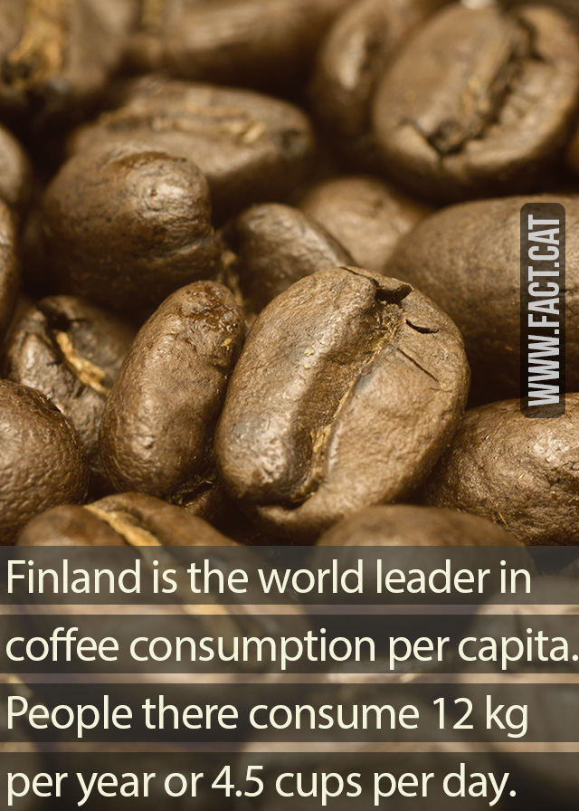 » Who drinks the most coffee?