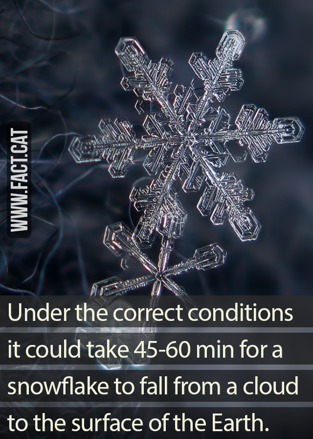 » How long does it take for a snowflake to fall to the ground?