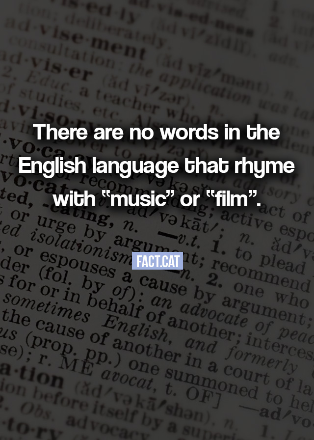 » Top 12 English words without rhymes